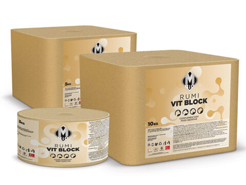 Rumi Vit Block - Mbio